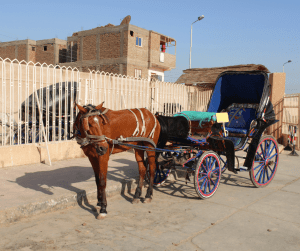 Exploring the Ancient Temple of Edfu, Egypt: A Guide to History ...