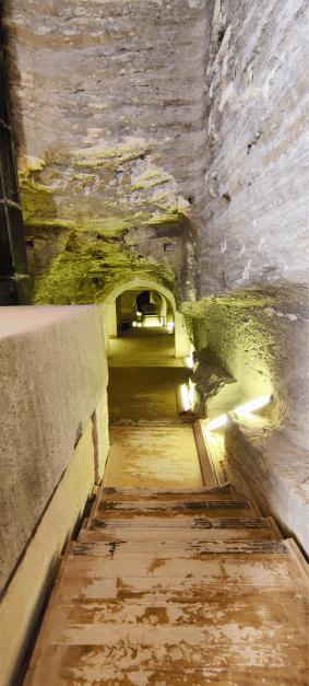 The Serapeum of Saqqara: Uncovering the Secrets of Ancient Egypt's Most ...