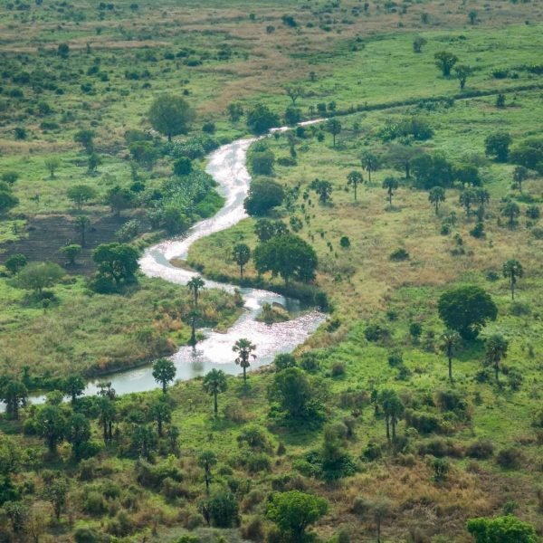 The Nile Delta: A Luxurious Exploration of Egypt's Agricultural ...
