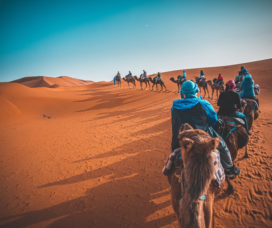 The Diverse Landscapes of Egypt: From Deserts to Oases - Ancient ...