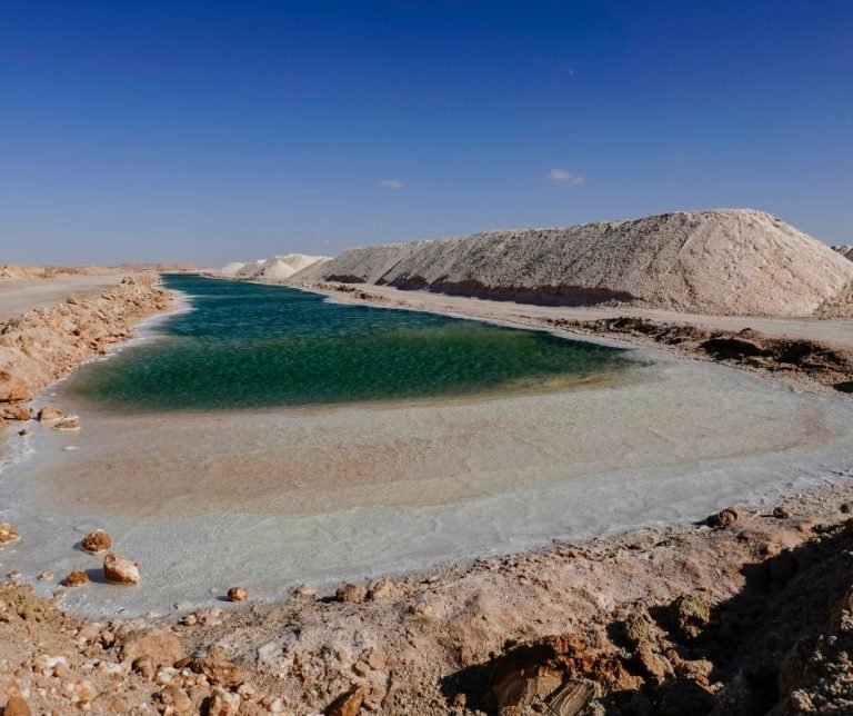 The Diverse Landscapes of Egypt: From Deserts to Oases - Ancient ...